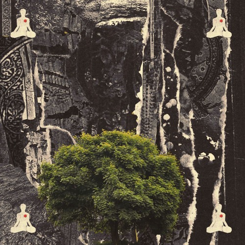 Damien Rice - Rootless Tree [Andy Gruhin Cover] by Andy Gruhin - Free ...